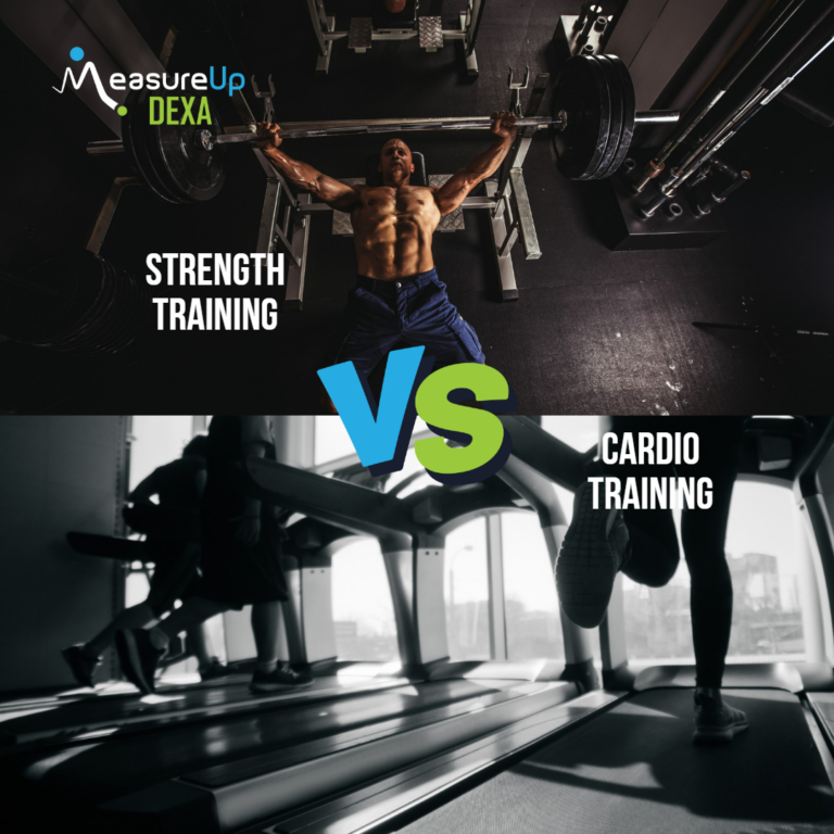 Measure Up – DEXA scan and body fat percentage measurement